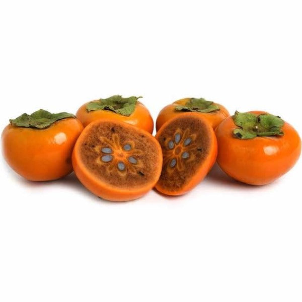 Chocolate Persimmon | C&J Gardening Center
