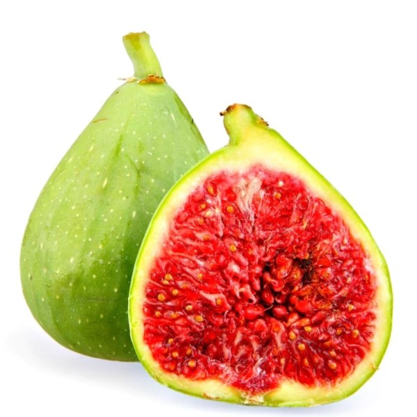Desert King Fig | C&J Gardening Center