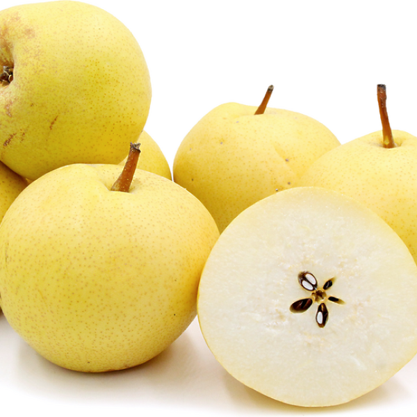 Monterrey Pear | C&J Gardening Center