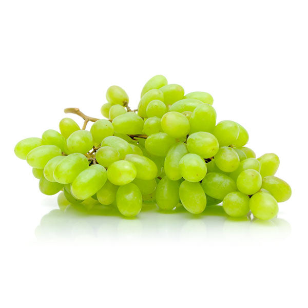 Princess Seedless Grape | C&J Gardening Center