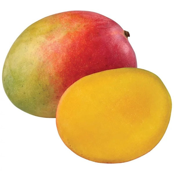 Tommy Atkins Mango | C&J Gardening Center