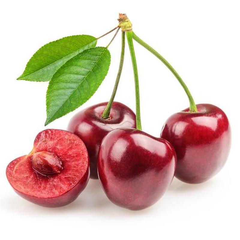 Bing Cherry | C&J Gardening Center